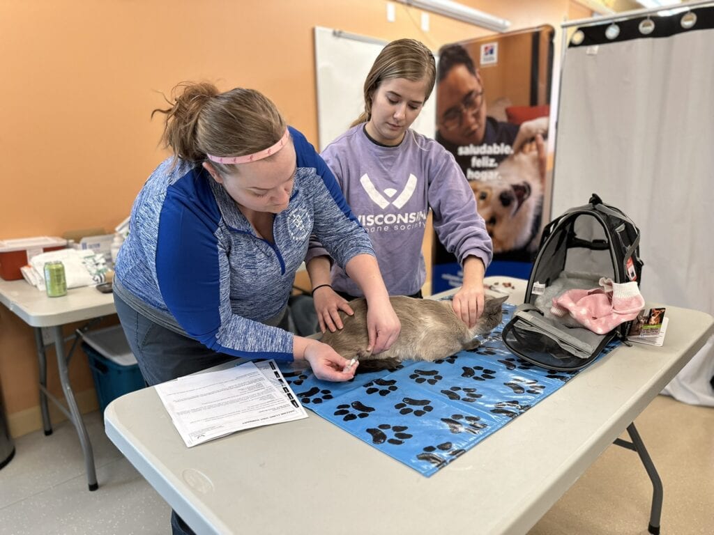 Wisconsin Humane Society - Making a difference for animals and the ...